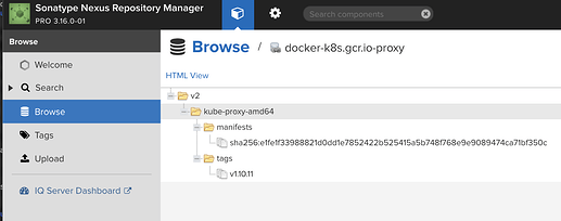 How to add k8s.gcr.io as docker proxy? - Sonatype Nexus Repository - Sonatype Community